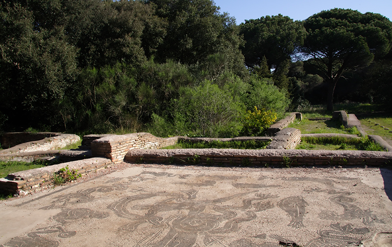 Villa di Plinio | Cyberia idee in rete